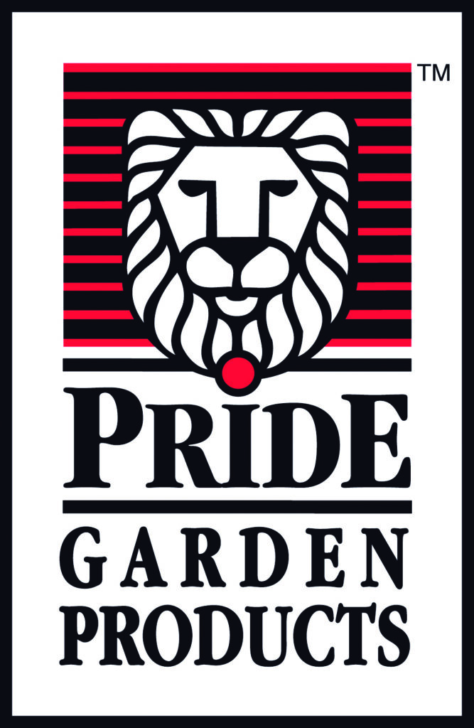 Media Rugby – MRFC – Established in1978